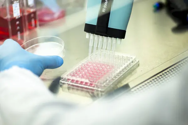 Cell Culture Laboratory Stock Photo by ©muratphoto 696859584