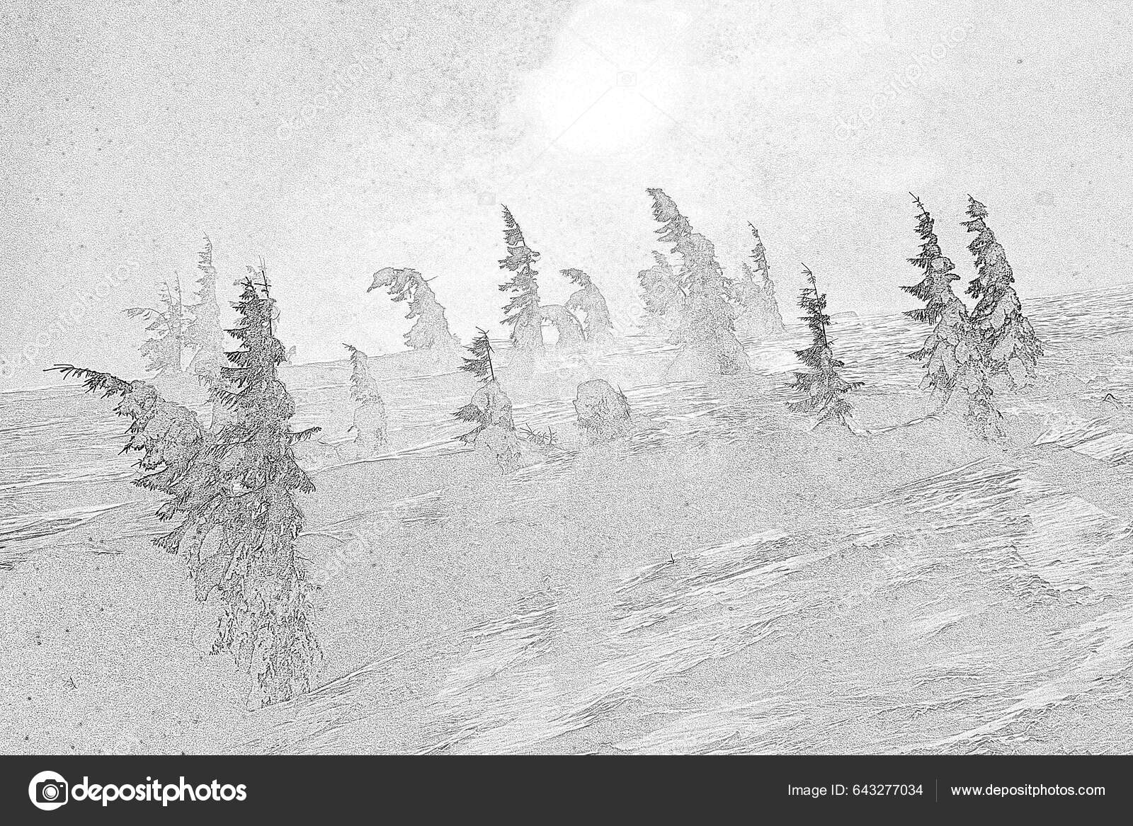 Cold Wind Pencil Drawings