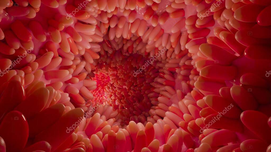 ilustración médicamente precisa de villi.Red intestinal microvilli en ...