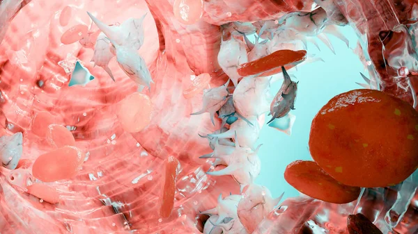 Platelets Anatomy Blood Cell Thrombocytes Blood Vessel Microscope ...