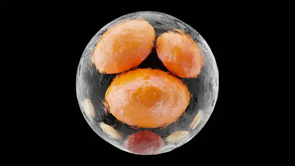 Células grasas aisladas, adipocitos y lipocitos beige, colesterol en ...