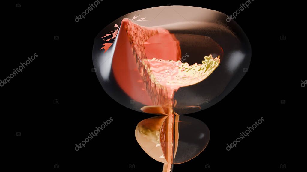 Sistema Urinario Excretor Vejiga Masculina Detallada Anatomía Glándula ...