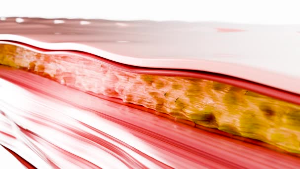 216 Weight loss 3d Stock Videos, 4K & HD Footage | Depositphotos