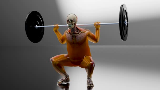 216 Weight loss 3d Stock Videos, 4K & HD Footage | Depositphotos