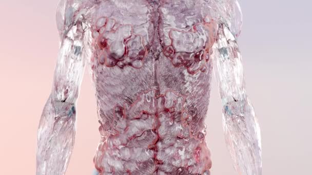 216 Weight loss 3d Stock Videos, 4K & HD Footage | Depositphotos