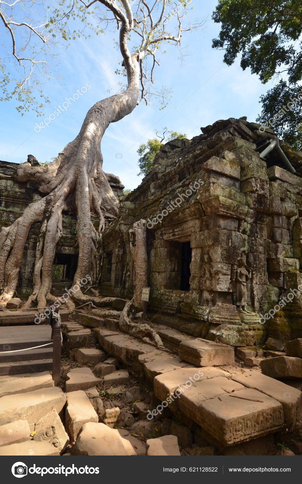 Angkor Wat Cambodia Ruin Historic Khmer Temple Tree Roots Lost Stock ...