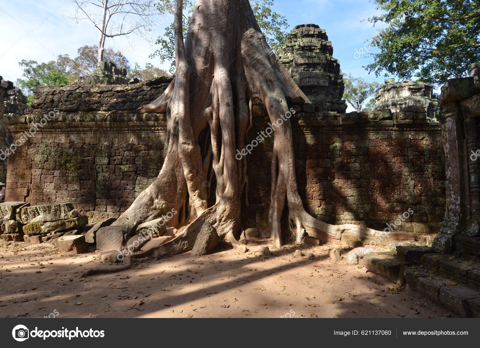 Angkor Wat Cambodia Ruin Historic Khmer Temple Tree Roots Lost Stock ...