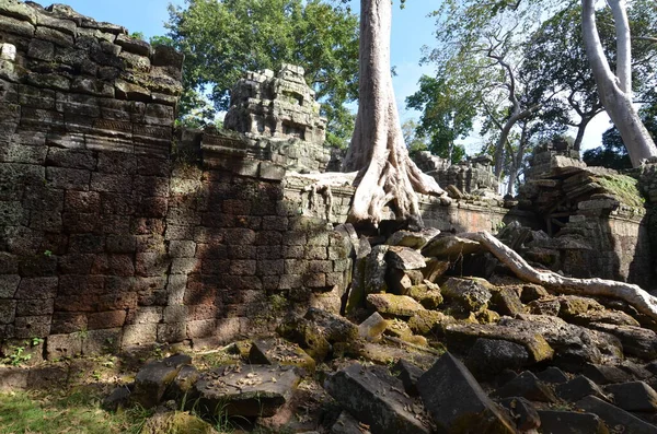 Angkor Wat Cambodia ruin historic khmer temple Tree Roots lost Culture ...