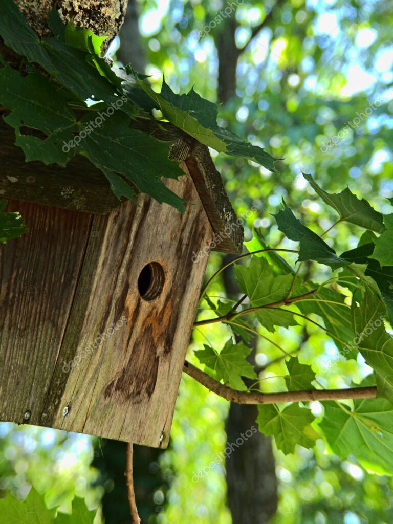 Arc-et-Senans, Francia 2022: Visita a las magníficas Salinas Reales ...