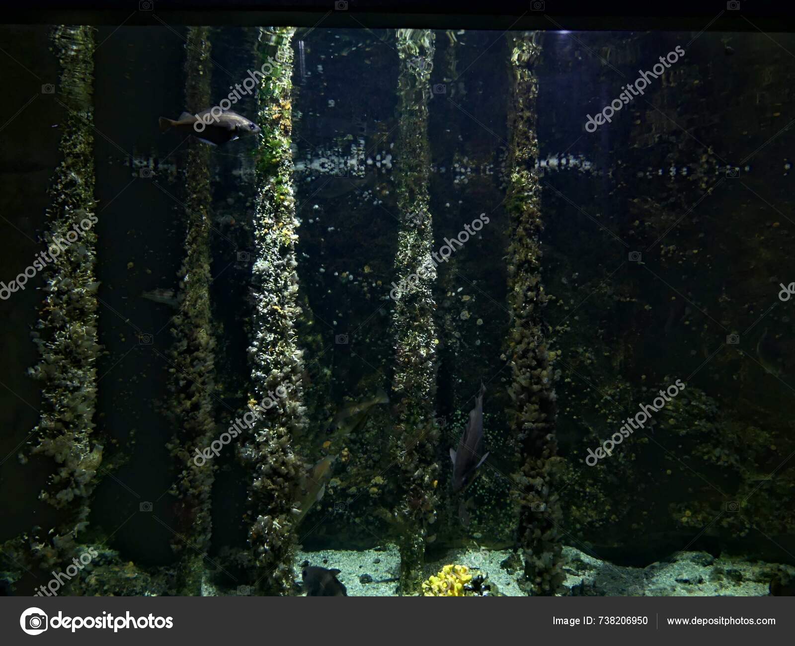 Rochelle August 2024 Visit One Europe's Largest Aquariums Aquarium Fish ...