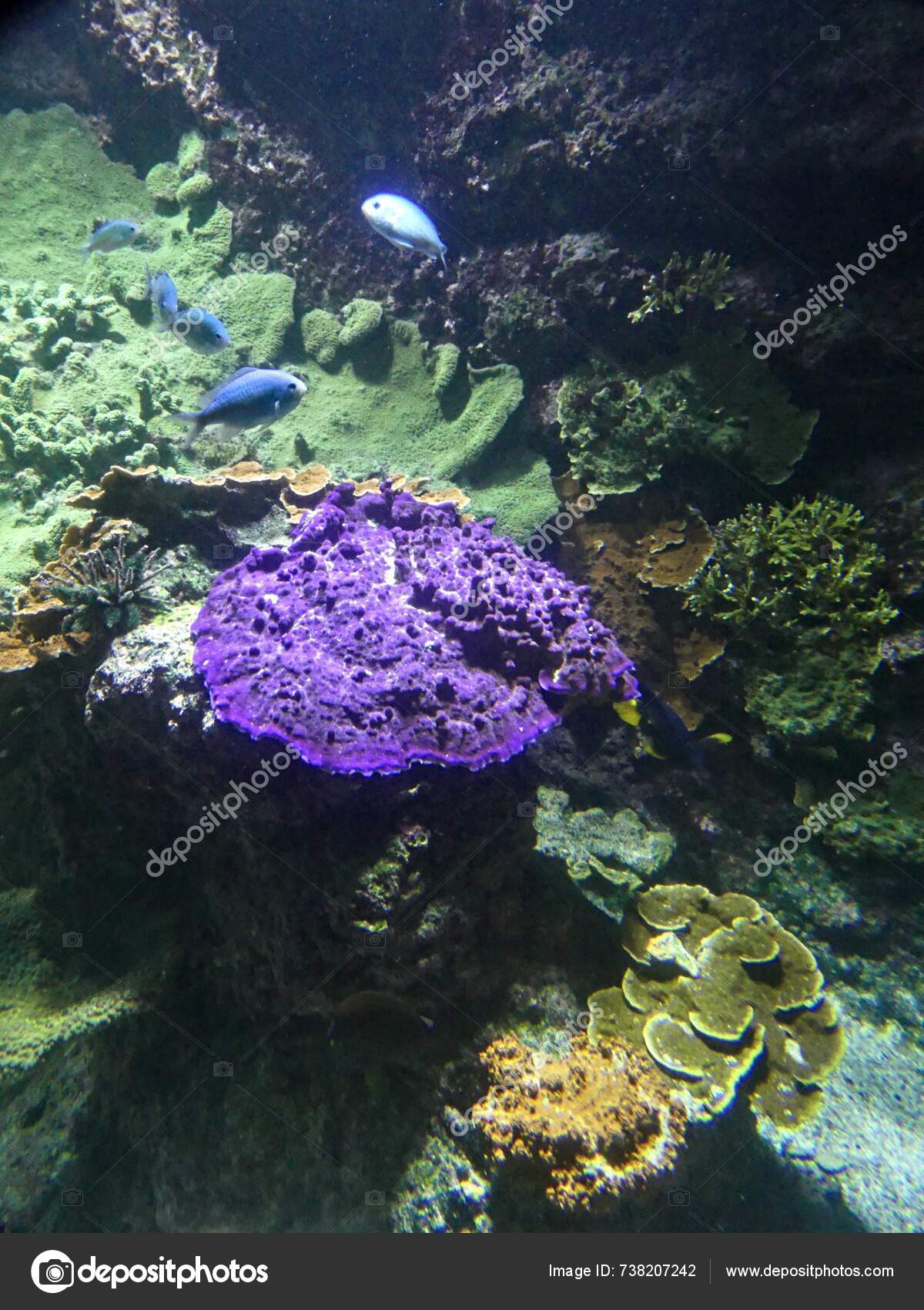 Rochelle August 2024 Visit One Europe's Largest Aquariums Aquarium Fish ...