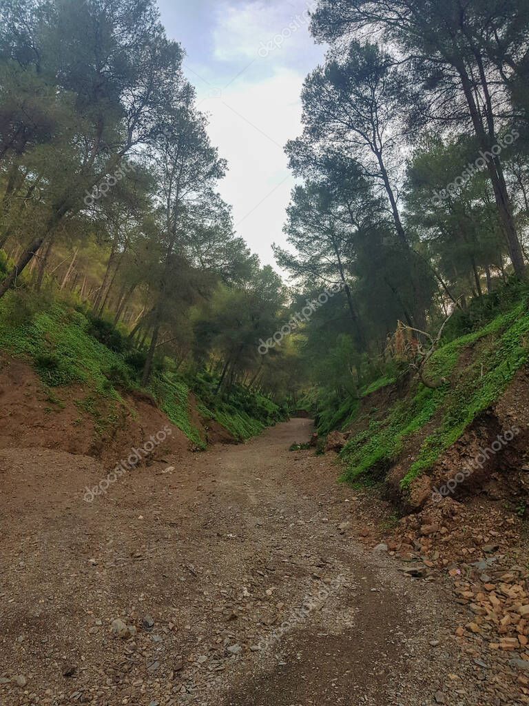 Oculto placer de la naturaleza para descubrir el paisaje del sendero en ...