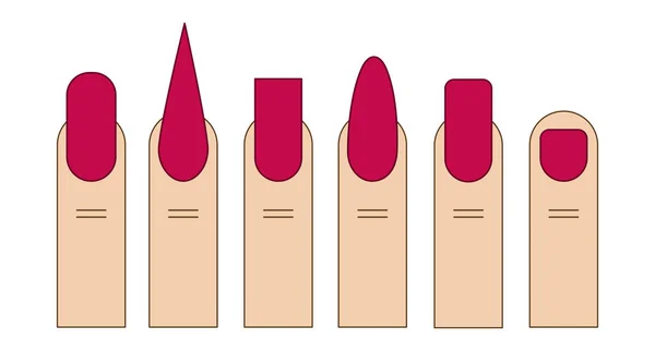 Nail shapes Stock Photos, Royalty Free Nail shapes Images | Depositphotos