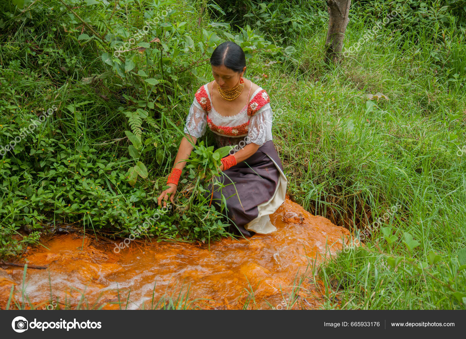 Indigenous Medicinal Plants