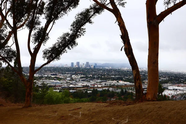 Lala kara fotos de stock, imágenes de Lala kara sin royalties ...