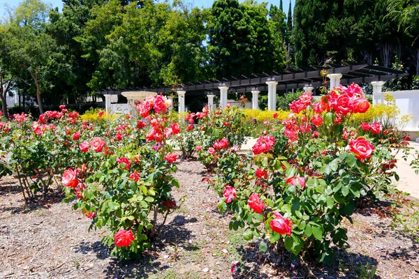 Springwood cemetery Stock Photos, Royalty Free Springwood cemetery ...