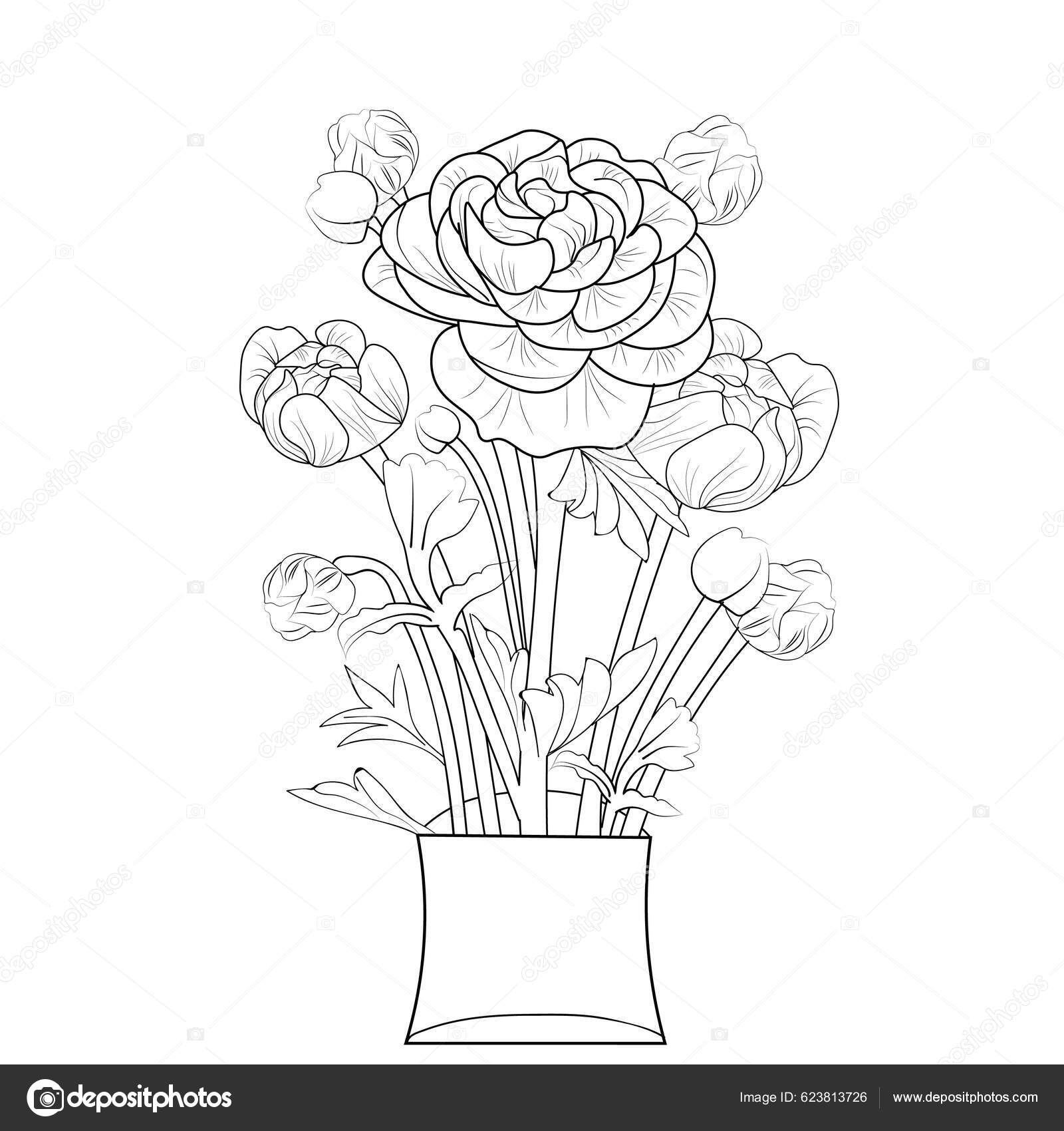 Hand Drawn Buttercup Ranunculus Flower Bouquet Vector Sketch ...