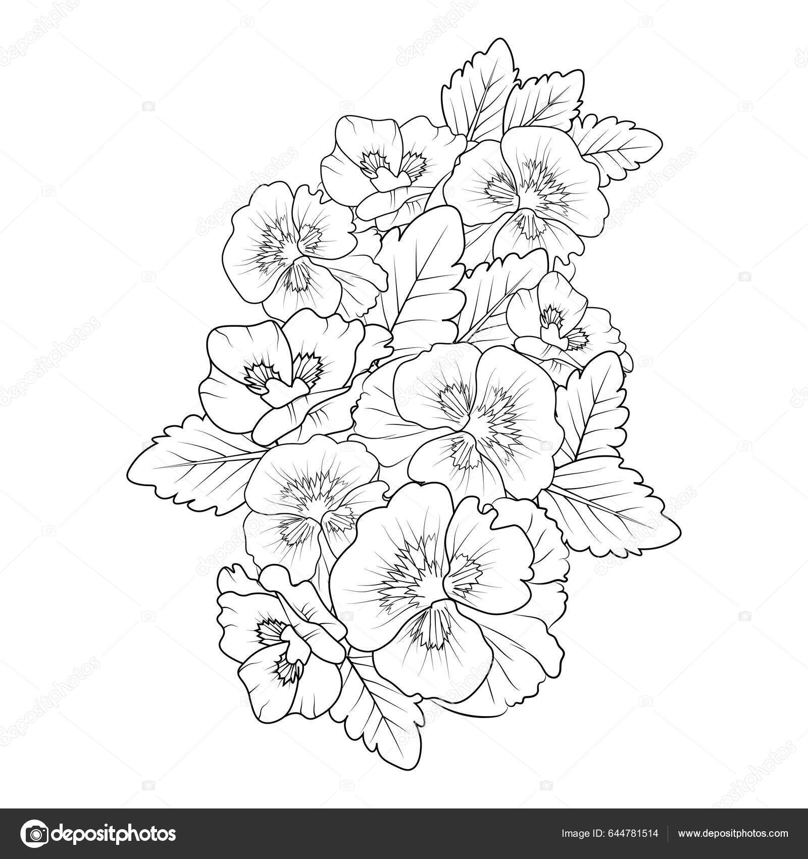 Pansy Flower Drawing Pansy Flower Vector Art Pale Blue Pansy Stock ...