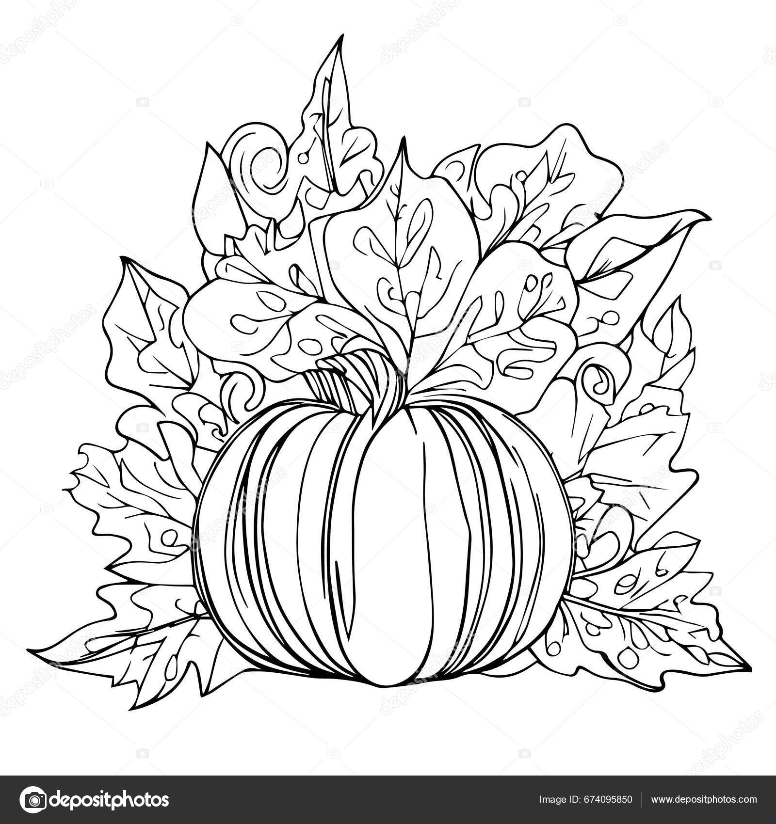 Calabaza Dibujada Mano Con Hojas Libro Para Colorear Página Para Vector ...