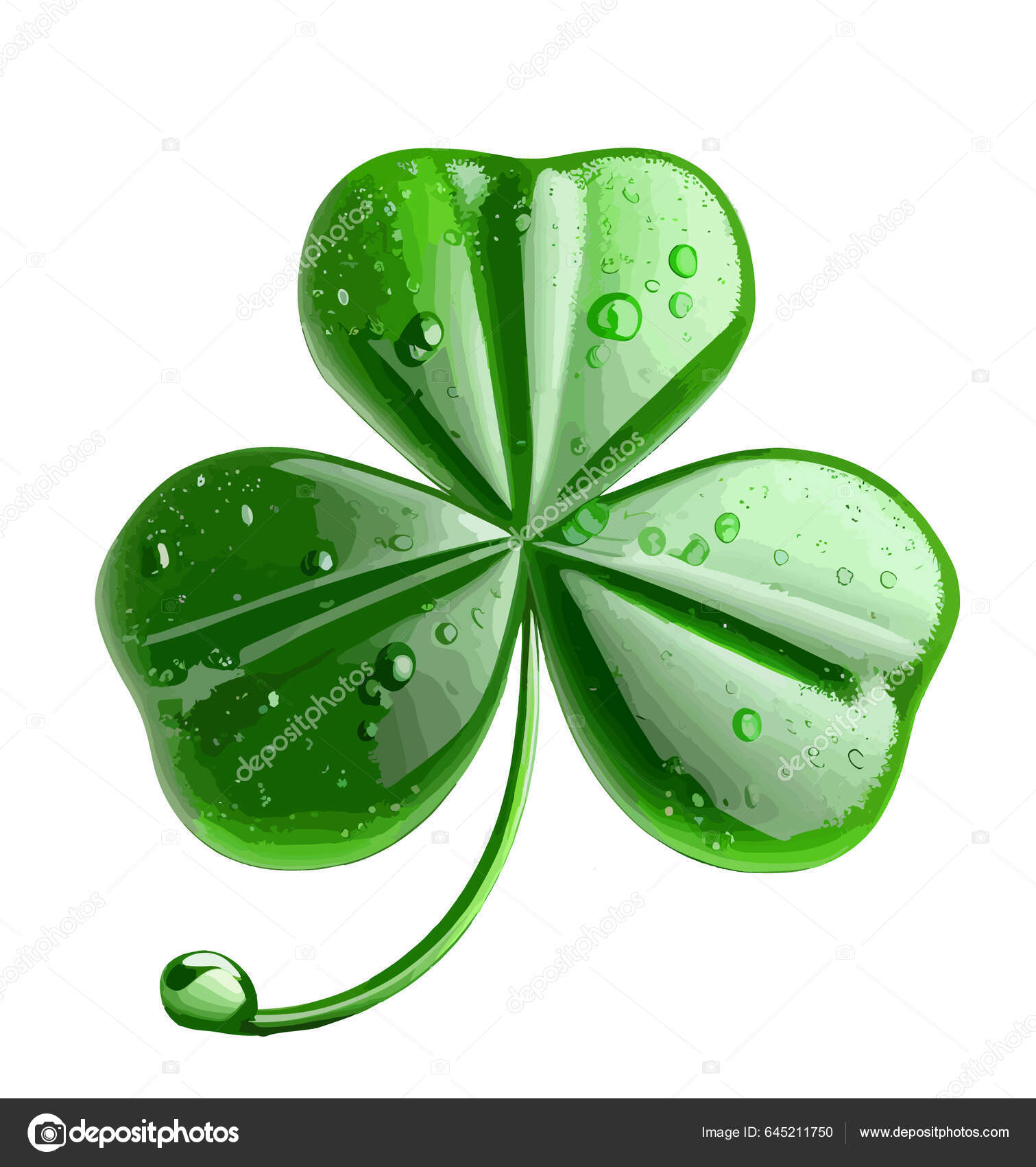 Hoja Trébol Realista Cuatro Hojas Aislada Sobre Fondo Blanco ...