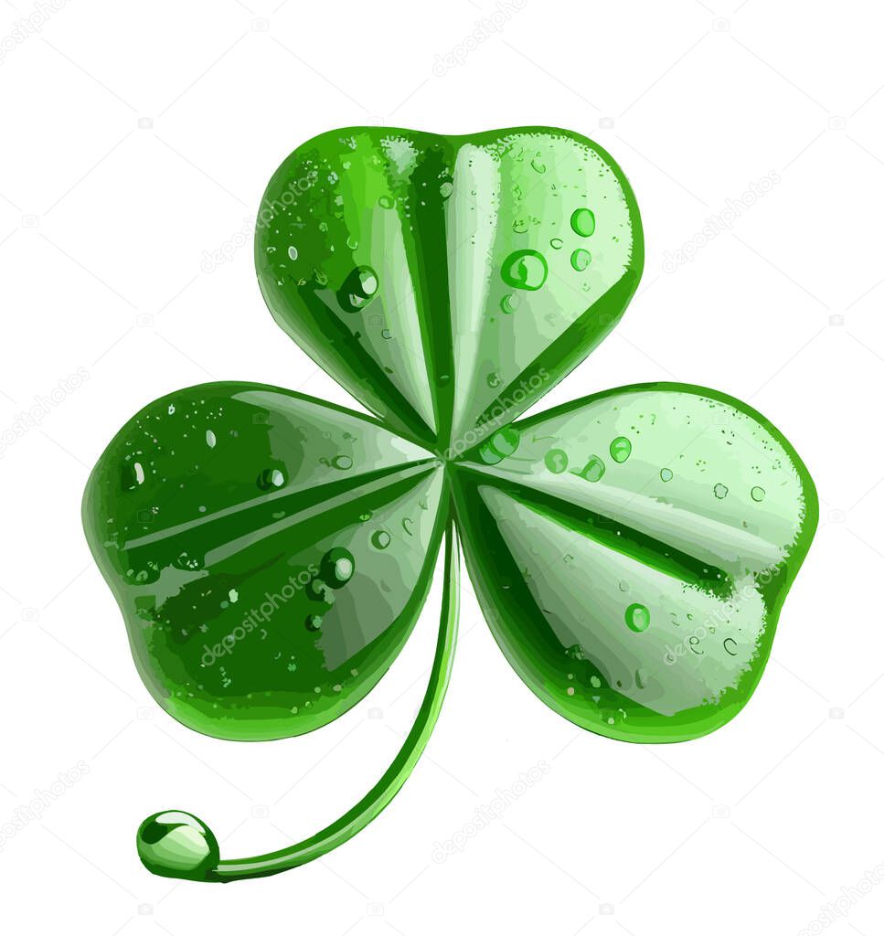 Hoja Trébol Realista Cuatro Hojas Aislada Sobre Fondo Blanco ...