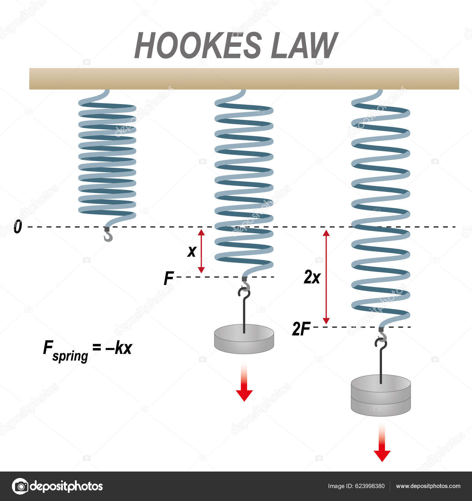 Ley Hookes Física Fuerza Resorte Ecuación Peso Experimento Matemático ...
