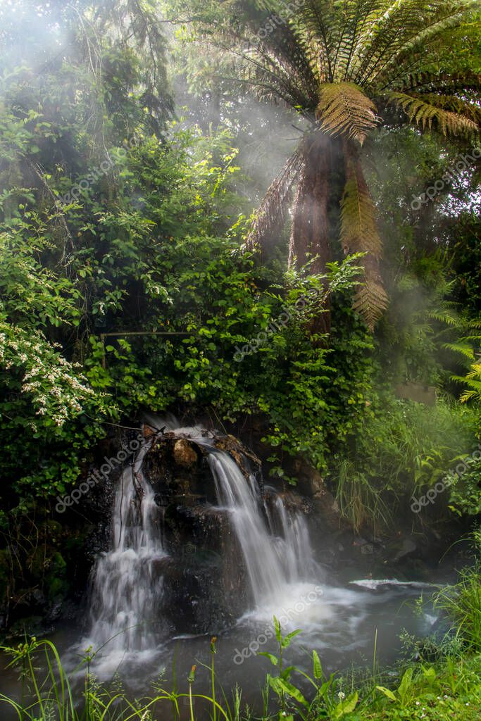 Waterfall and hot springs in forest near Rotorua, New Zealand. Near ...