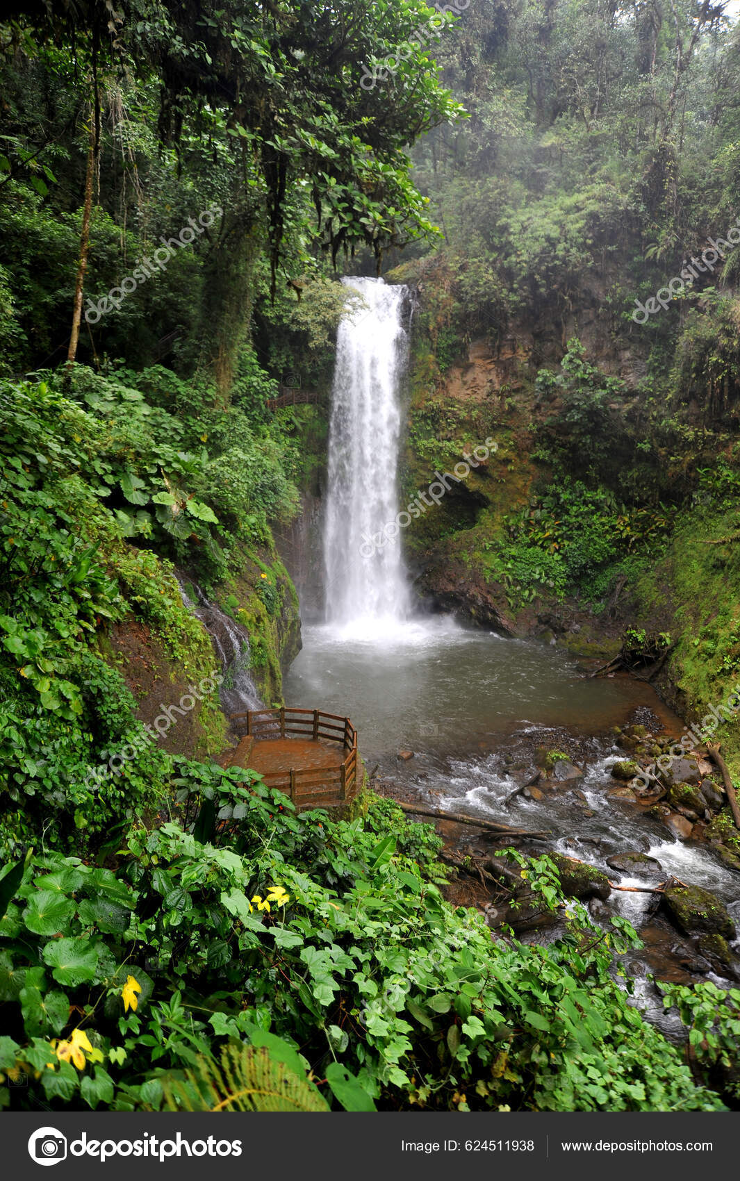 Costa Rica Waterfall Old World Forest Lapaz Waterfall Park — Stock ...