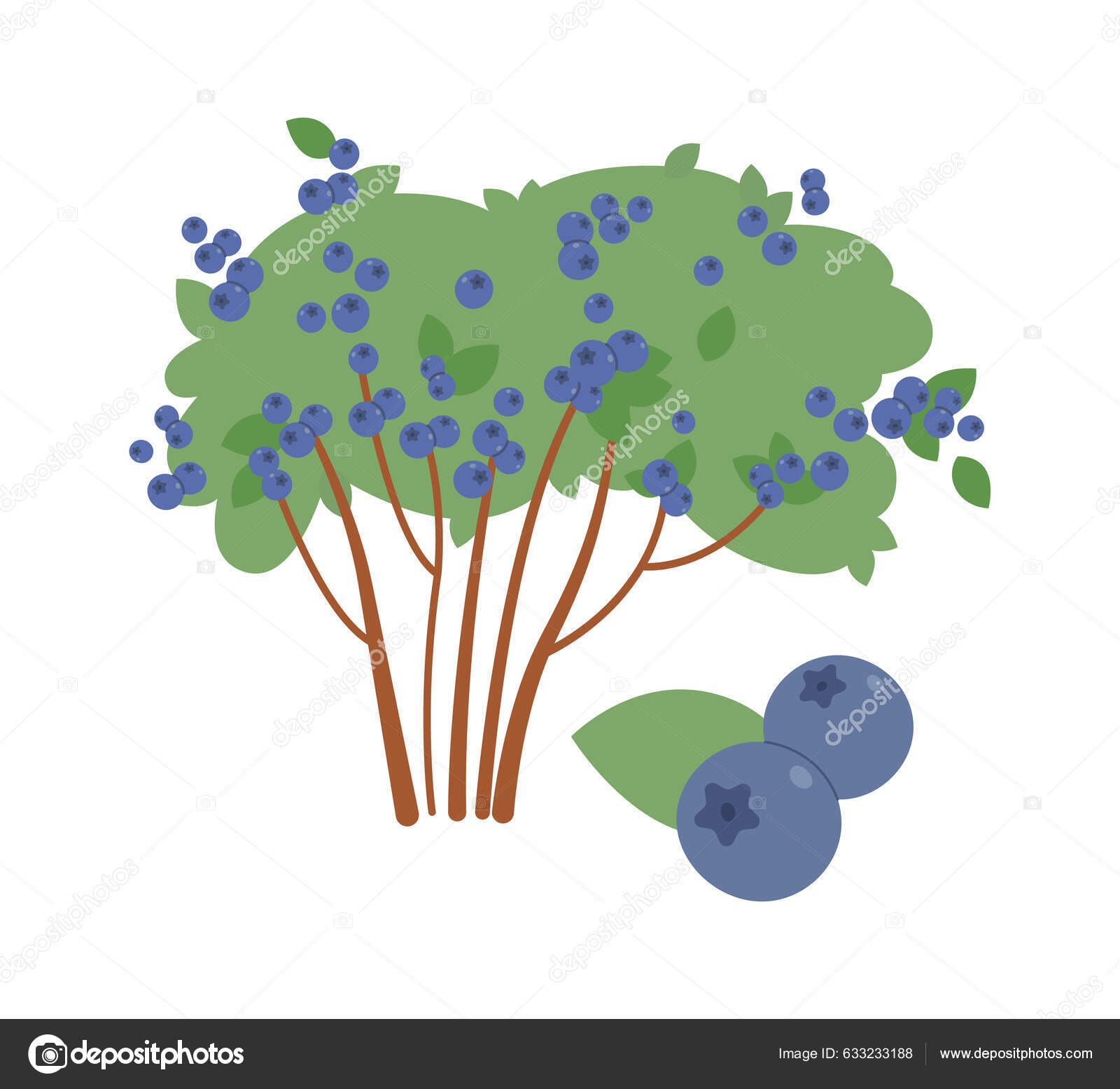 Blueberry Bush Clip Art