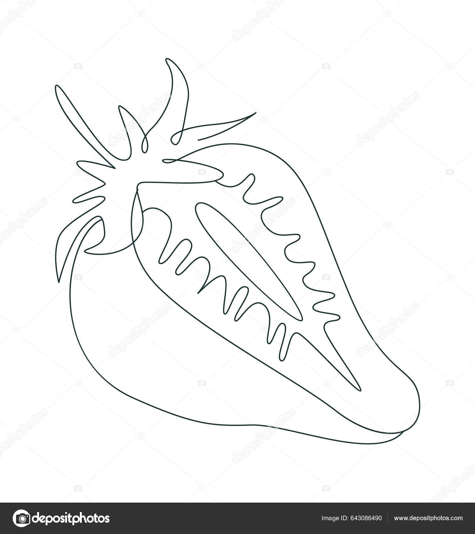 Half Strawberry Line Art Design Element Vector Illustration Stock ...