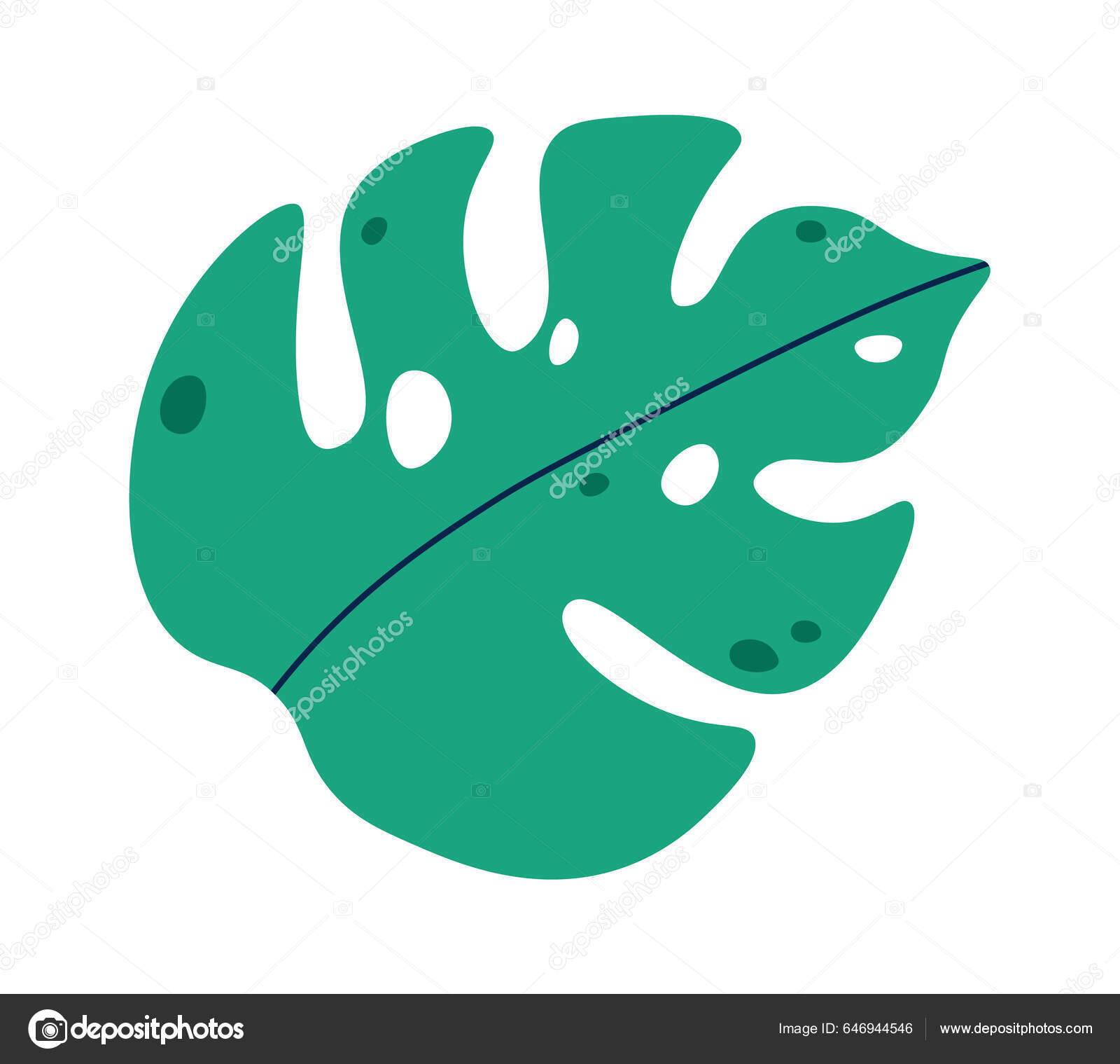 Leaf Shapes Vector