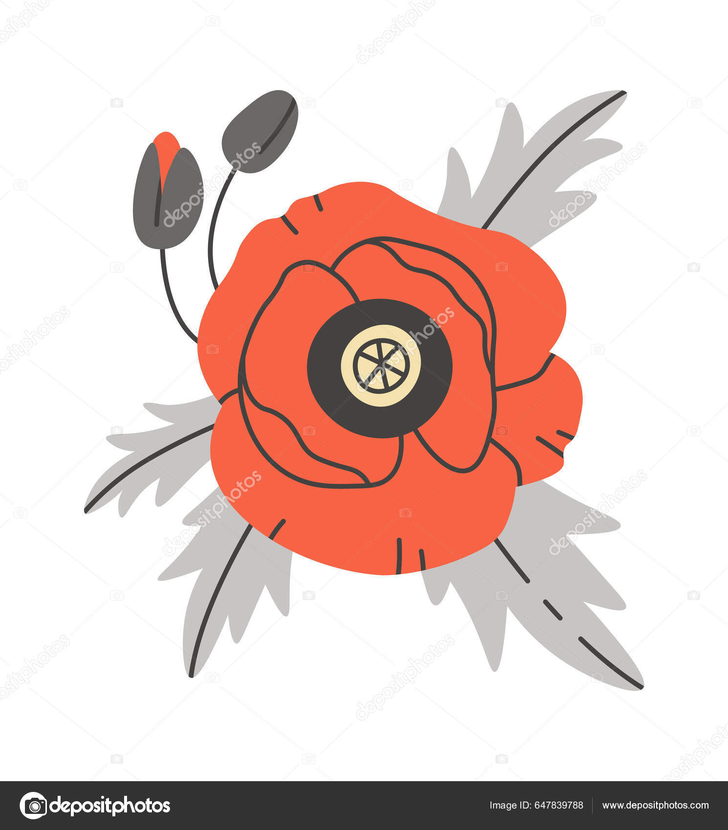 Amapola Flores Silvestres Con Hojas Vector Illustration Vector de stock ...