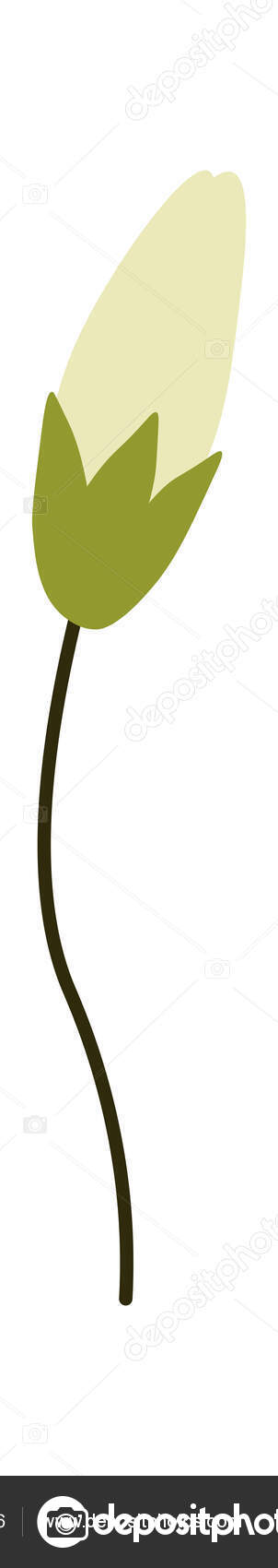 Flower Stem Vector Illustration Stock Vector by ©Lookz 652019836