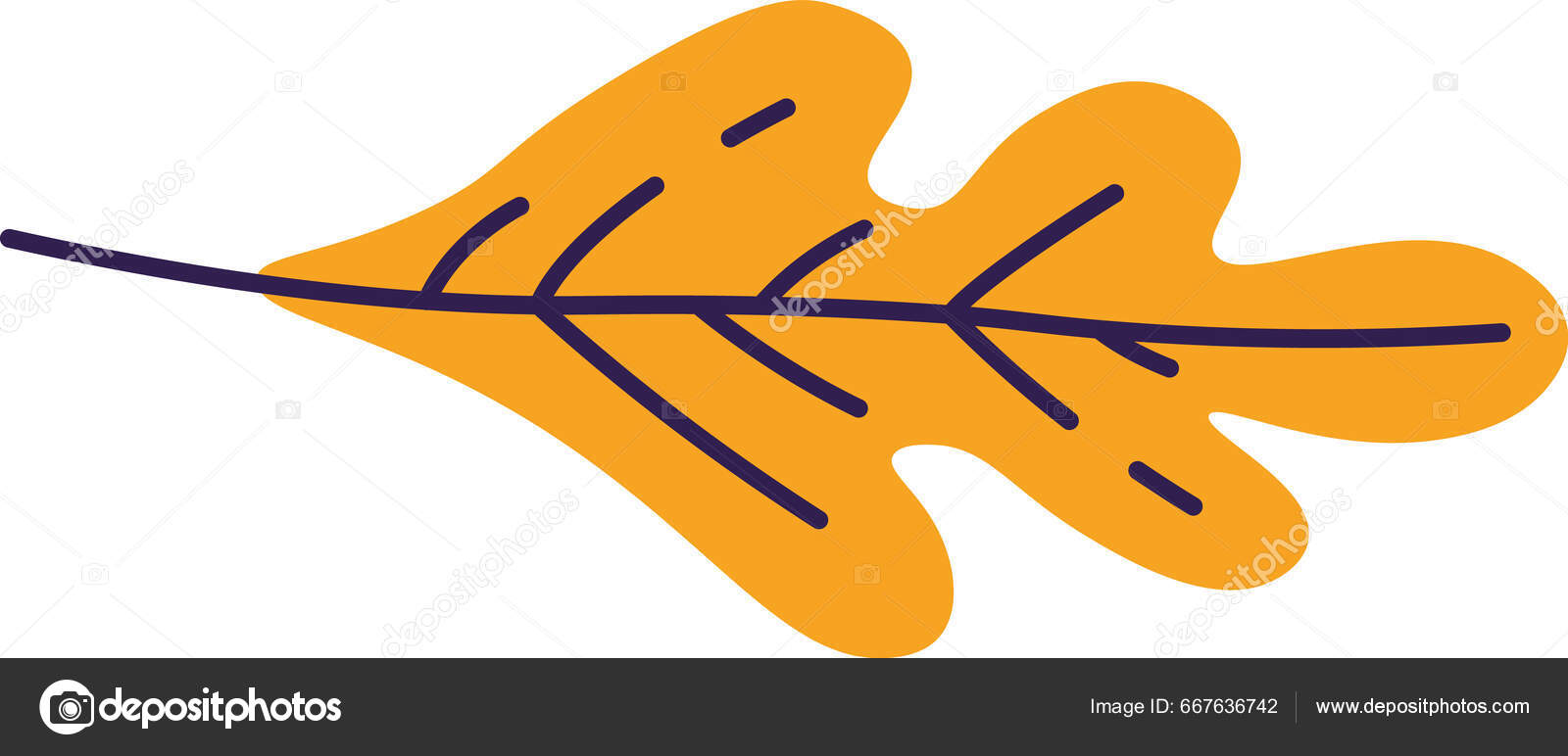 Oak Tree Leaf Vector Illustration Stock Vector by ©Lookz 667636742