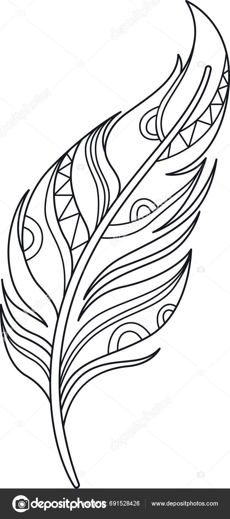 Feather Outline Boho Vector Illustration Stock Vector by ©Lookz 691528426