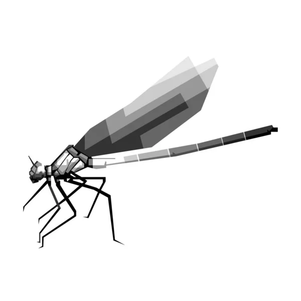 Wpap Vector Art Stock Images | Depositphotos