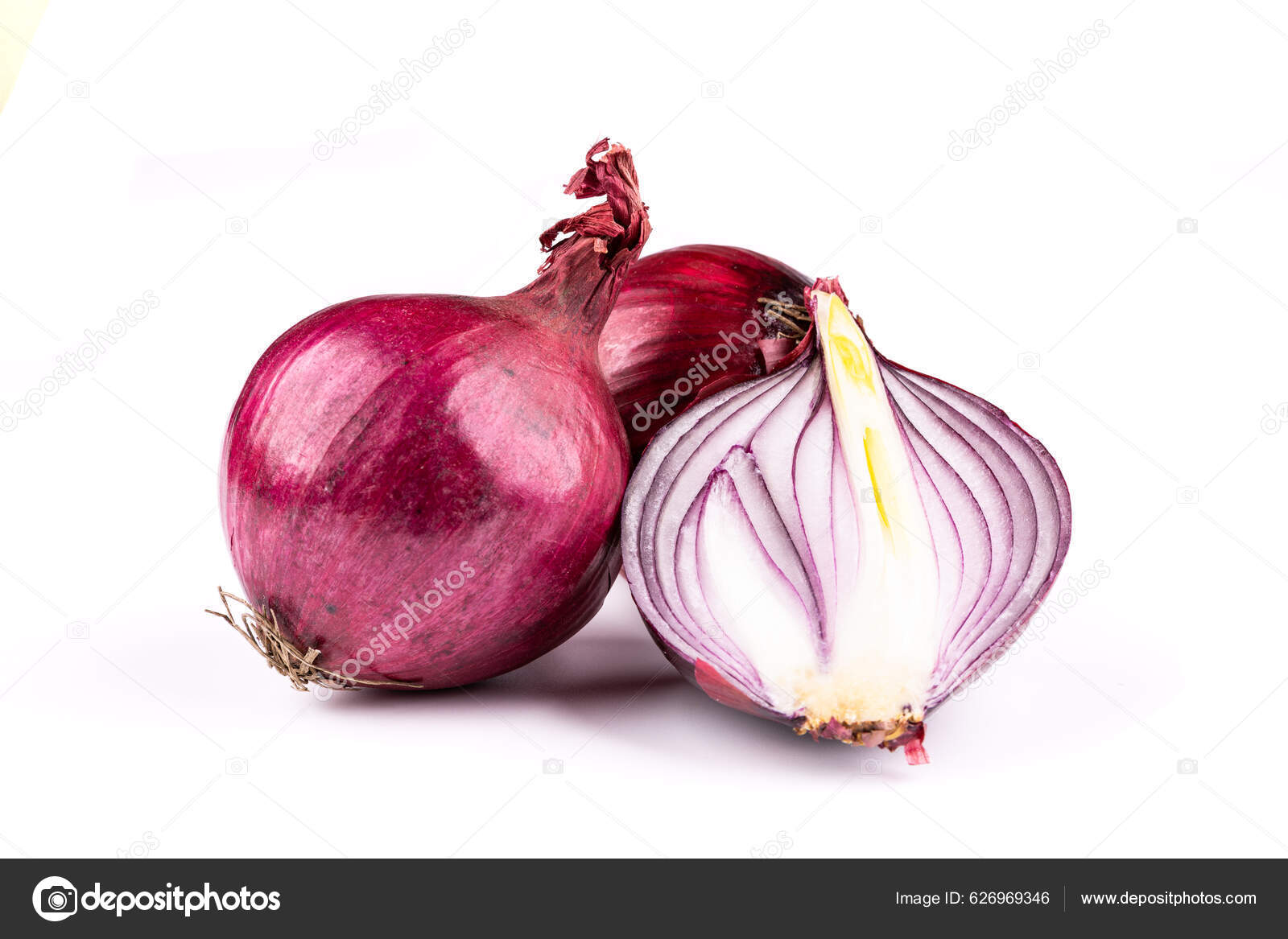 Red Onion White Background — Stock Photo © robert6666 #626969346