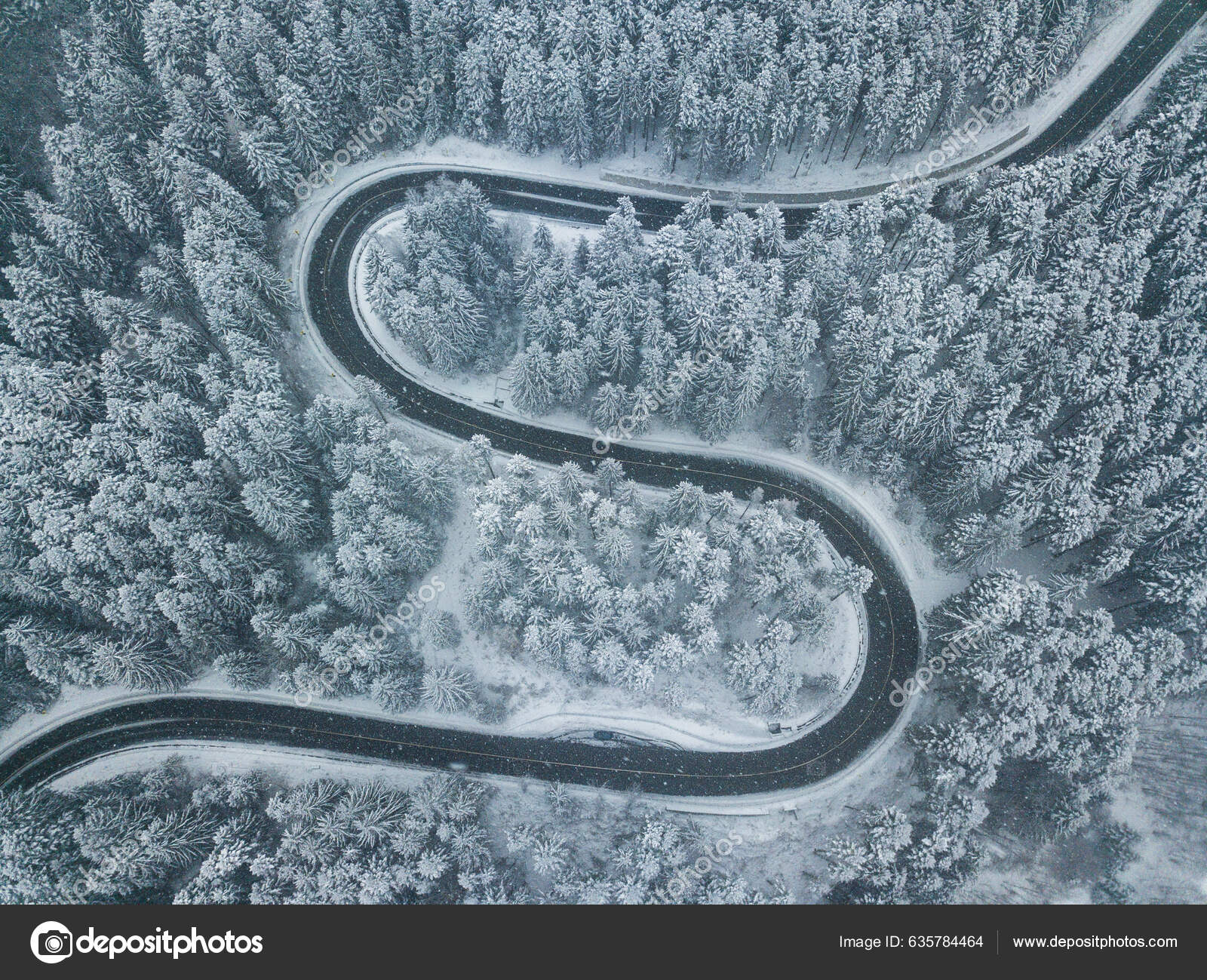 Aerial View Pine Forest Road Snow Covered Trees — Stock Photo ...