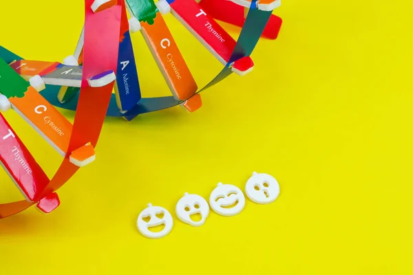 DNA helix structure and smiling heart. Temperament determined by ...