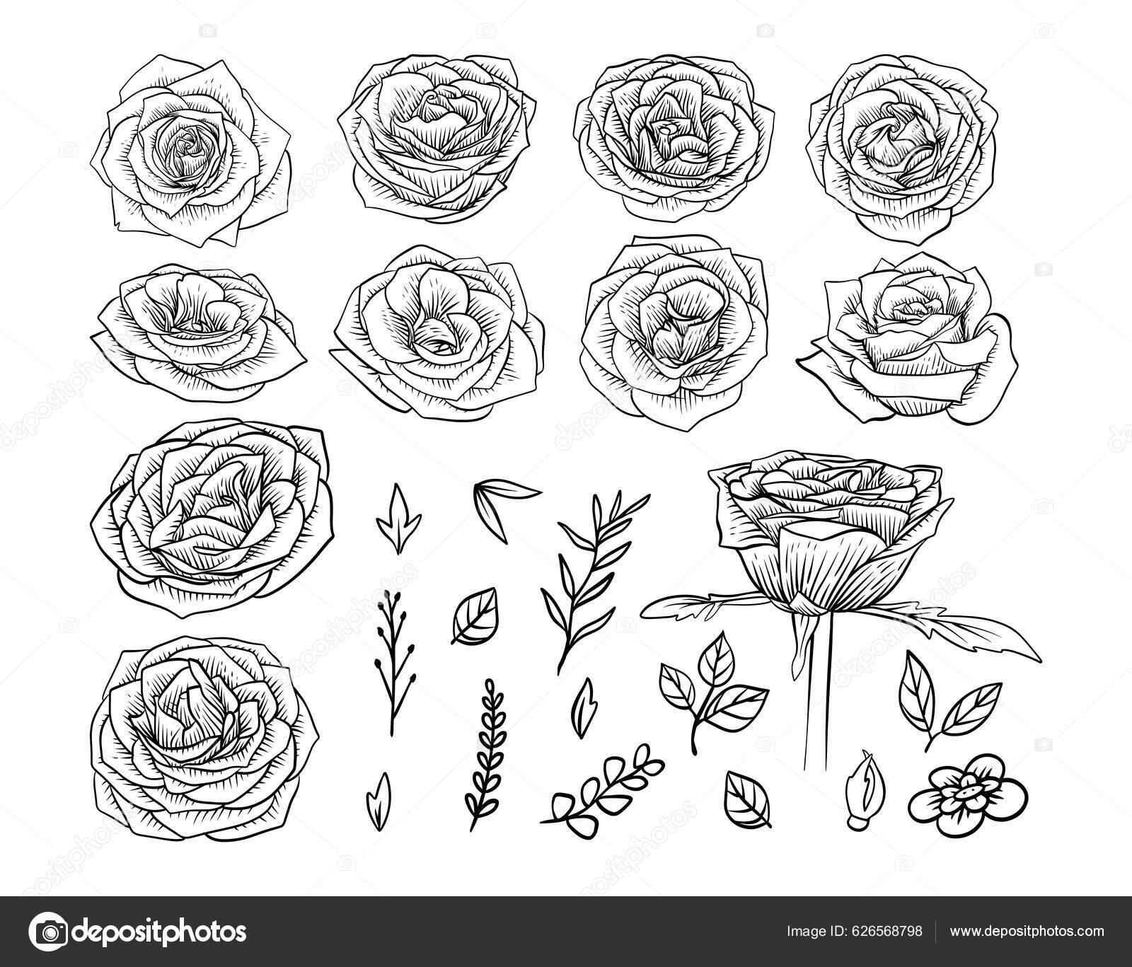 Gambar Tangan Rose Flower Line Seni Klip Vektor Stok oleh ©lucky_xtian ...