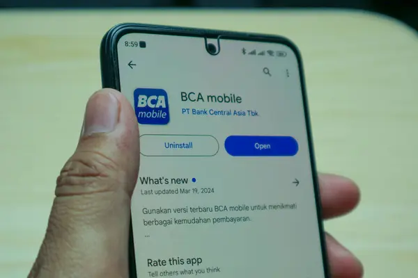 Logo bca Stock Photos, Royalty Free Logo bca Images | Depositphotos