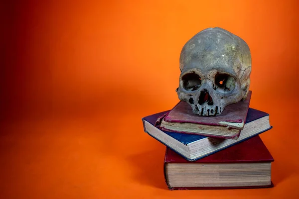 Book skull Stock Photos, Royalty Free Book skull Images | Depositphotos