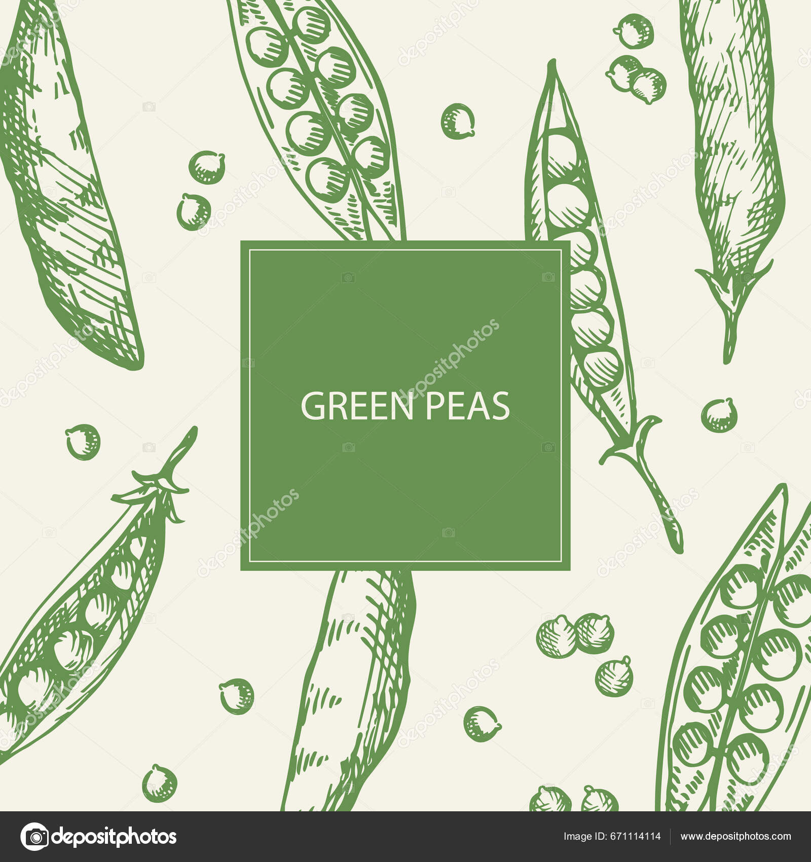 Pea Label Template Background Hand Drawn Frame Backdrop Pea Plants ...