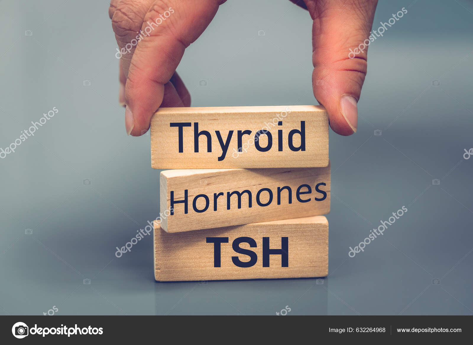 Thyroid Hormones Tsh Health Concept Endocrine Gland Study Human ...