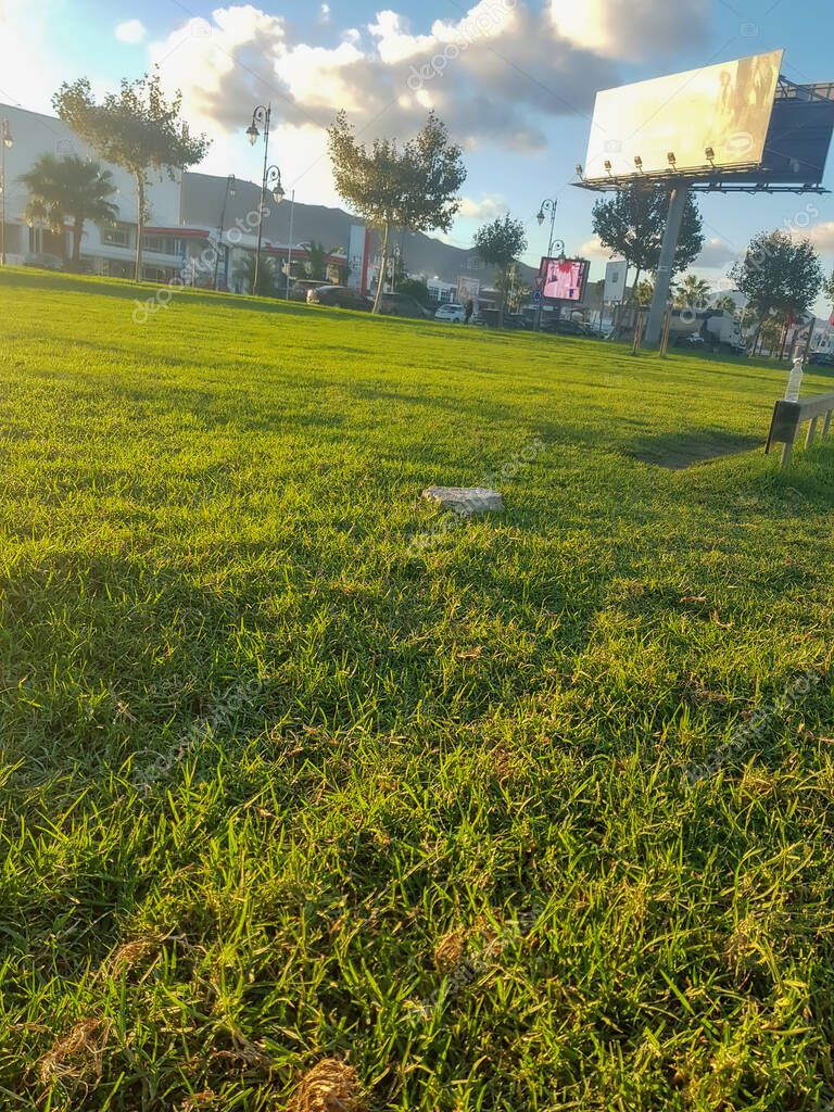 Magia de pasto verde explorando Sus beneficios ambientales 2023