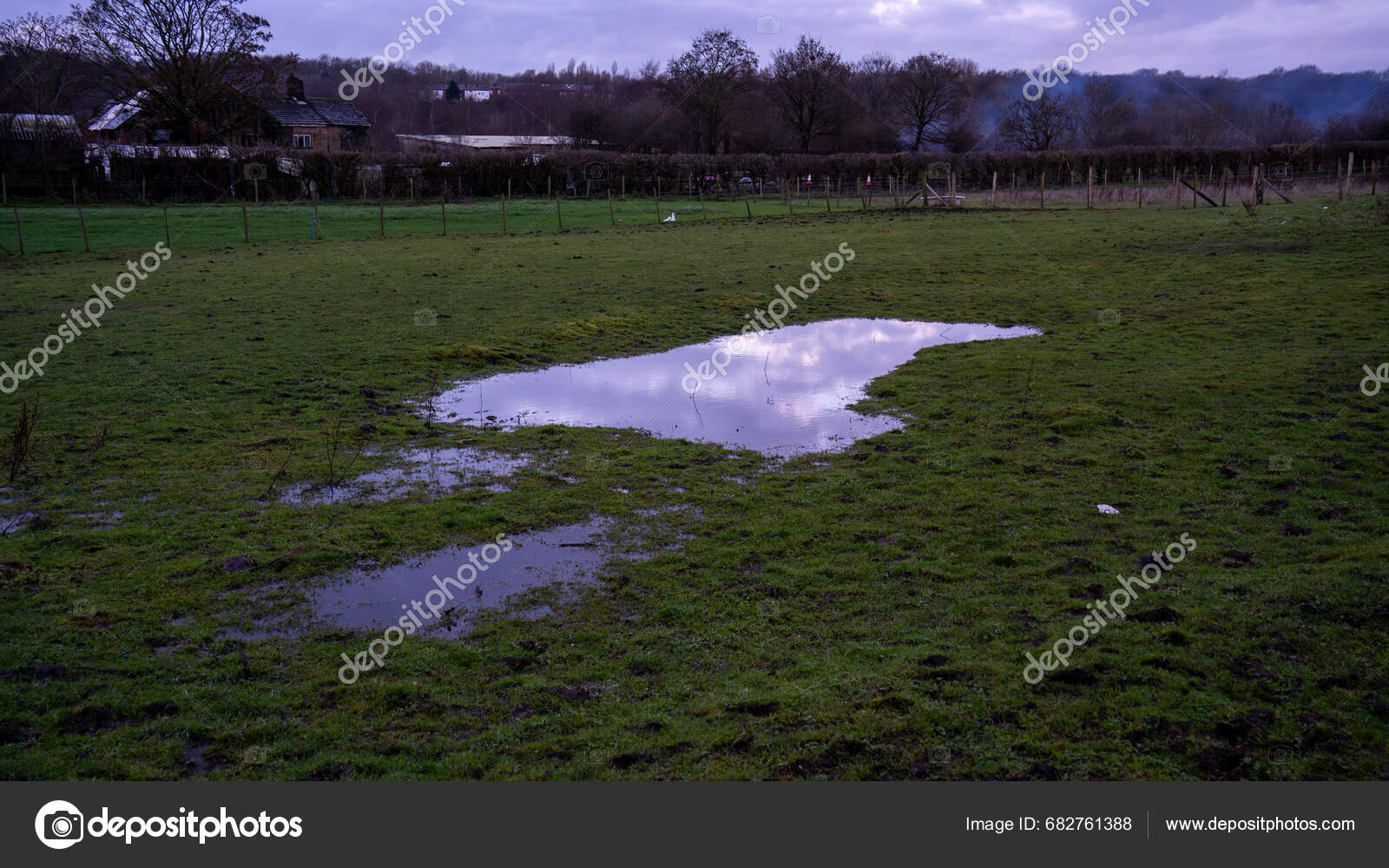 Puddle Grass Puddle Water Grass Horse Farm Rain Sunset Cloudy Stock ...