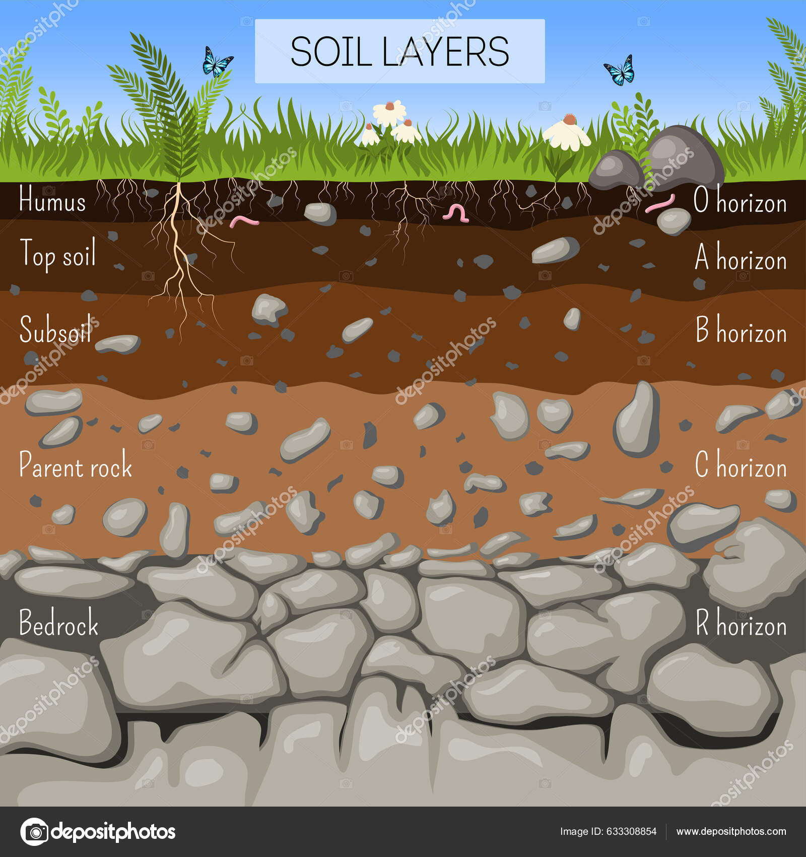 Soil Layer Vector