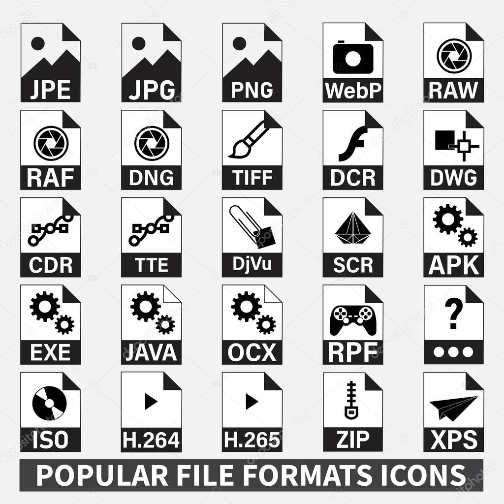 Formatos de archivo iconos vector set. Lleve su organización de ...
