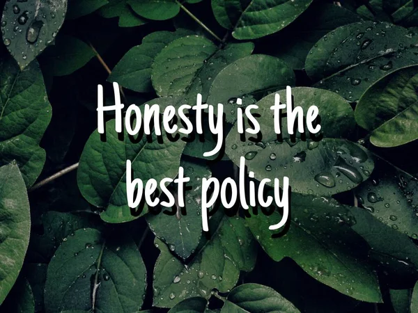 Bonne et honnête images libres de droit, photos de Bonne et honnête ...