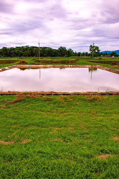 Quintas de taro Stock Photos, Royalty Free Quintas de taro Images ...